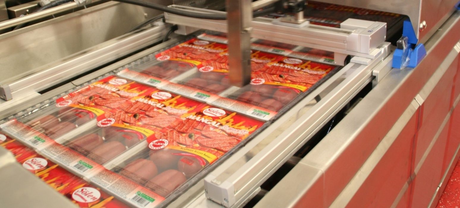 IAI two-axis controller: PSEL - ATB Automation