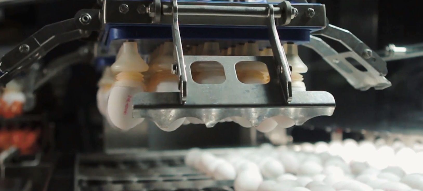 Carousel egg transport with Stober servo systems - ATB Automation